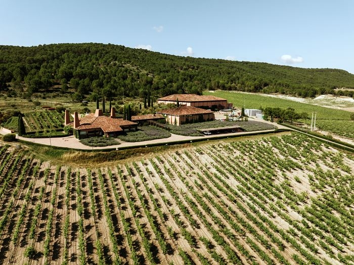 Sogrape la empresa vinícola líder en Portugal adquiere Viña Mayor