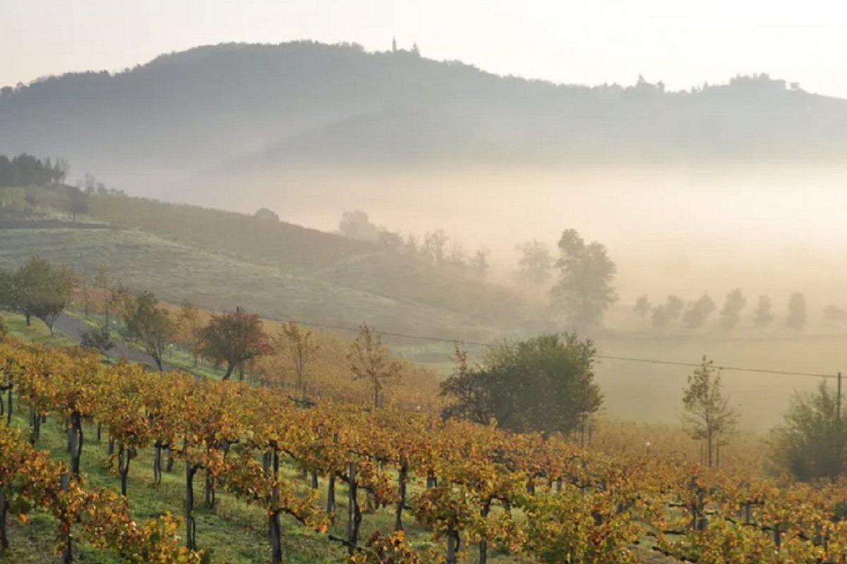 Alto Piemonte y Gran Monferrato, Ciudad Europea del Vino 2024, por 9 meses