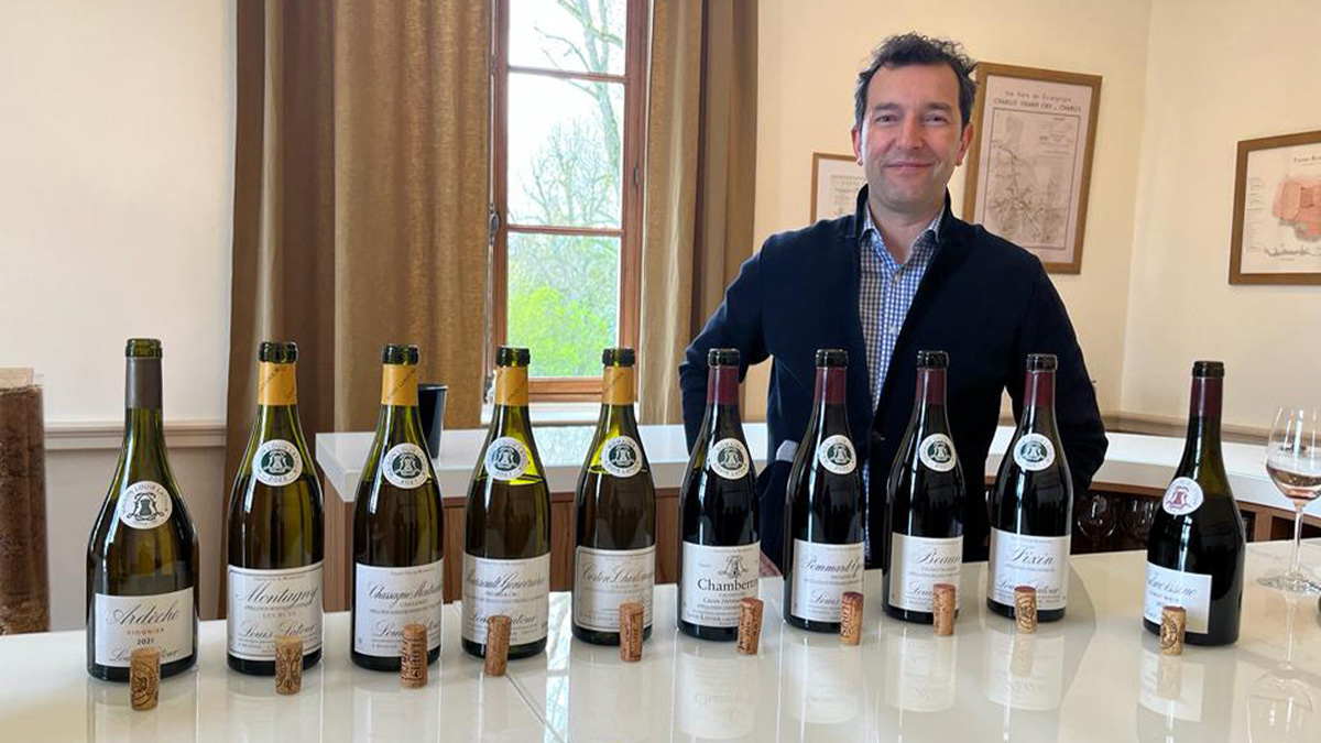 Historia y tradición en la Maison Louis Latour, el mayor dominio de Borgoña