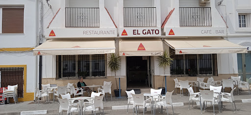 Bar Restaurante El Gato: Sabor auténtico en el corazón de Fuente de Cantos