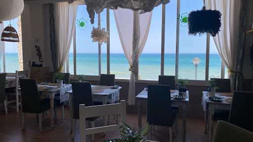Olive Tree Mojacar: Sabor mediterráneo en un rincón paradisíaco