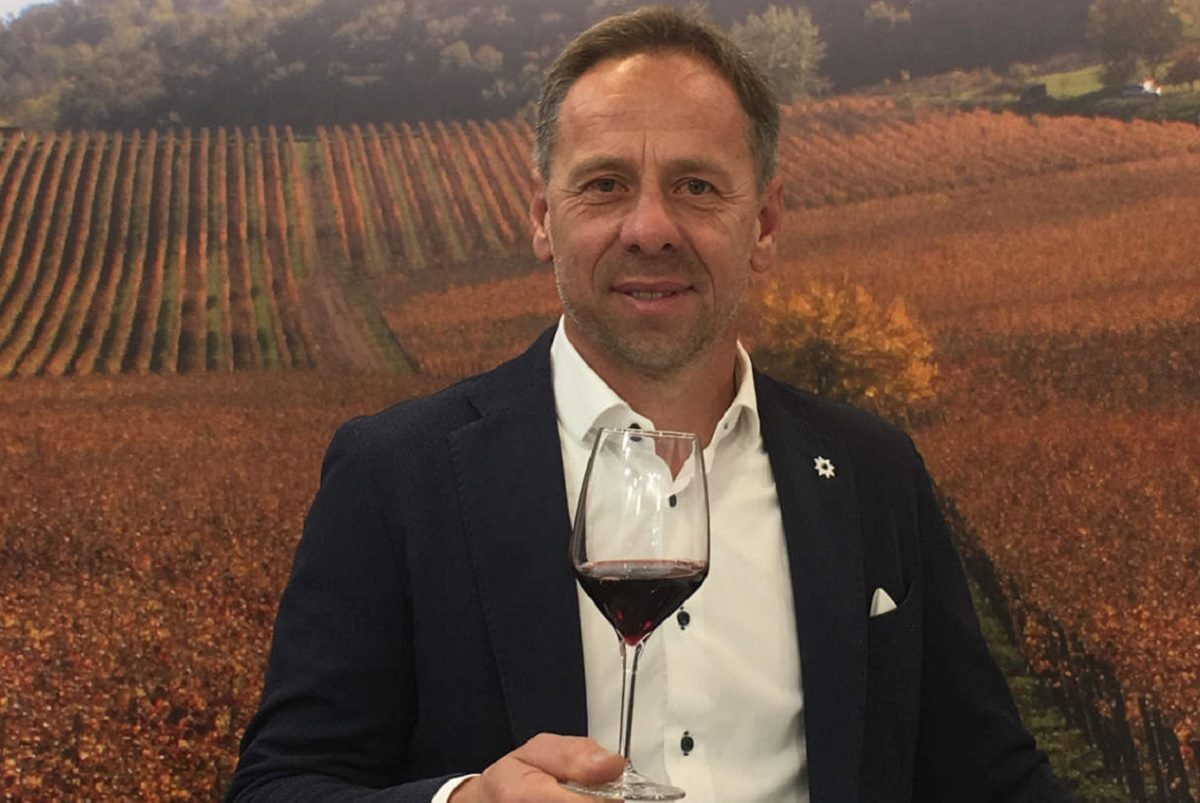 Colli Berici crece un 10,3% en embotellado de vinos en 2024