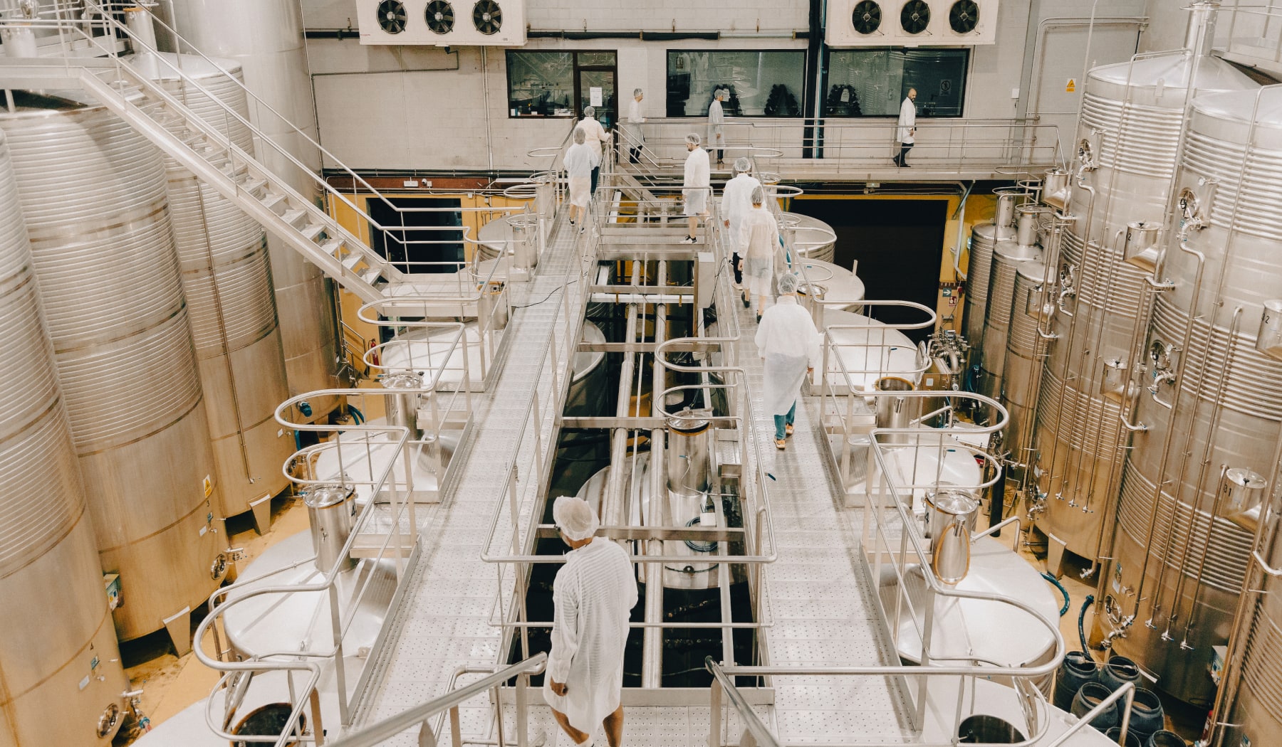 Descubre el pie de cuba y su importancia en Rías Baixas