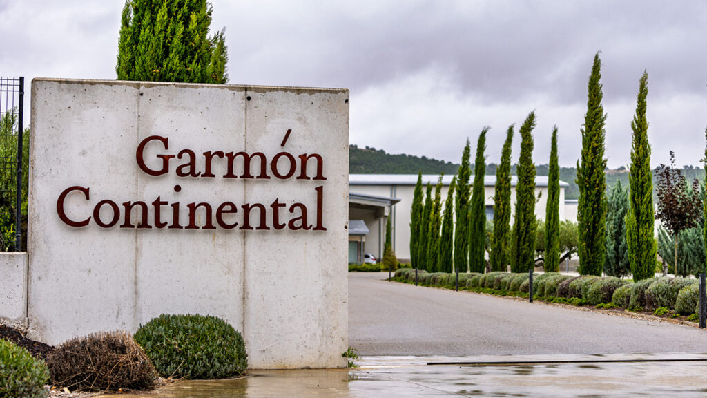 El vino más íntimo de la familia García: así es Garmón, el Ribera del ...